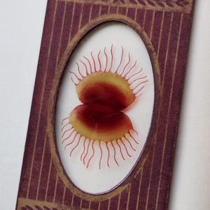 Handmade Bookmark Victorian Microscope Slide Venus Fly Trap - Dark ...