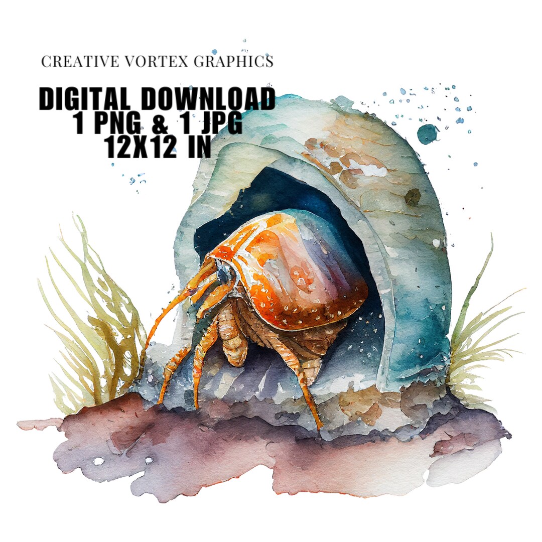Hermit Crab Watercolor Graphic Cute Hermit Crab and Shells - Etsy