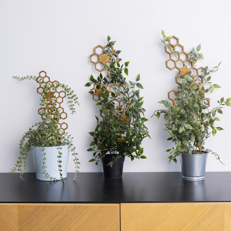 Geometric Trellis - Etsy