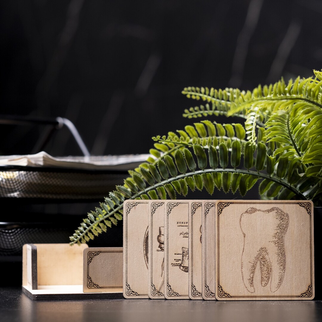 Dental Coasters, Anatomy Coaster, Drink Coasters Set, Drink Coasters ...