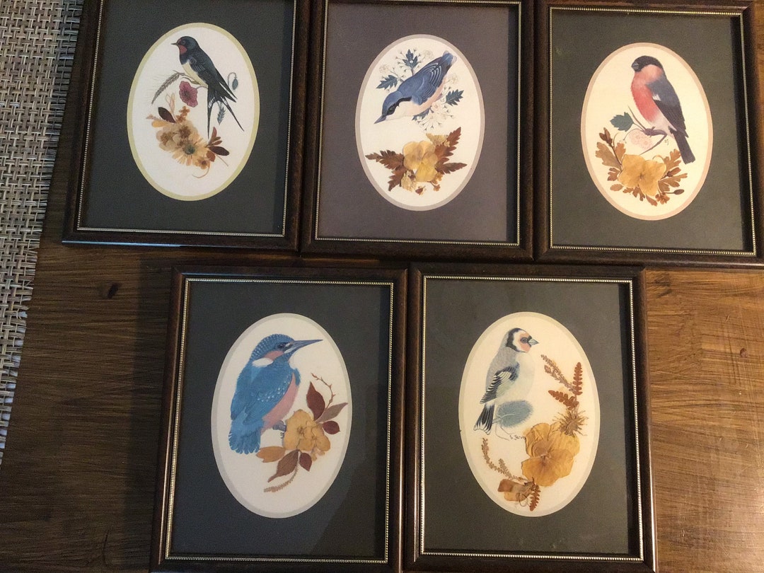 Set 5 Watercolours by Sharon Jervis - Etsy