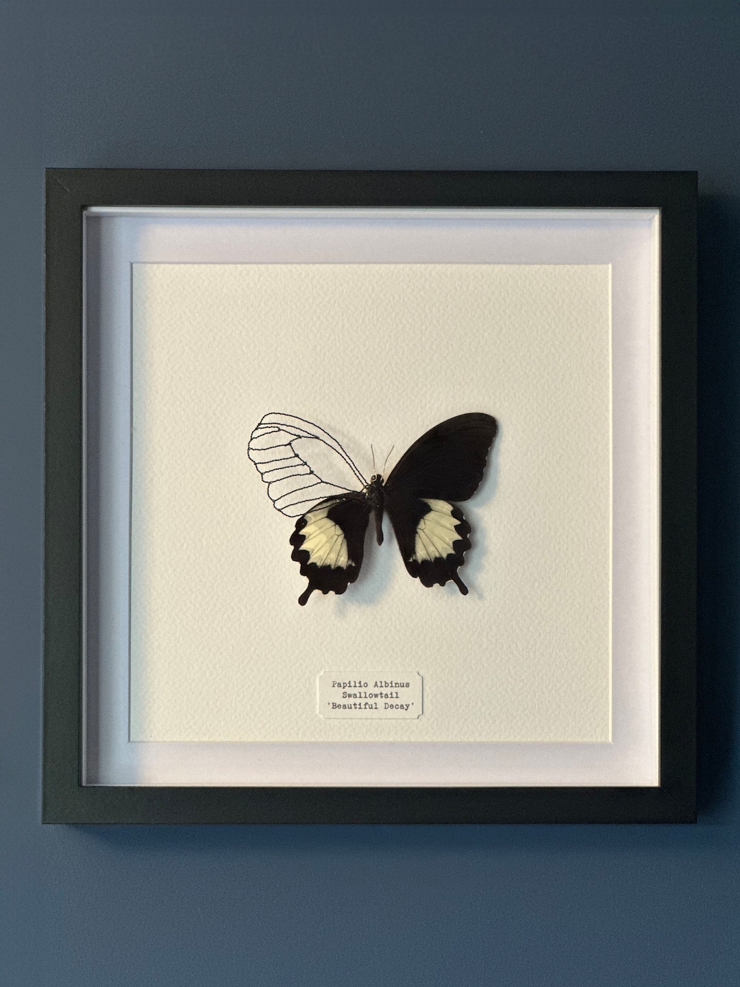 Swallowtail Butterfly With Wire Wing, Beautiful Decay Series. - Etsy