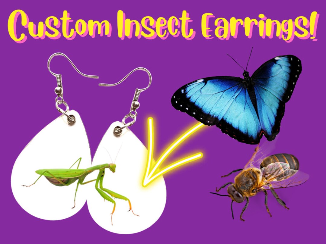 Custom Earrings - Your Insect Here: Bugs, Critters, Butterfly ...