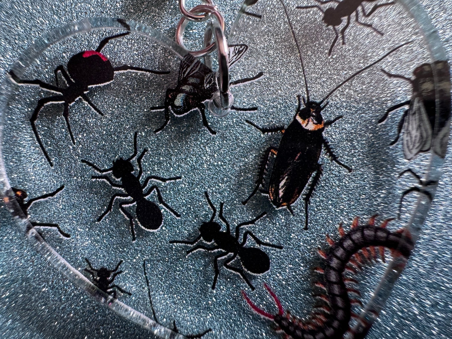 Insect Earrings: Laser Cut Acrylic Insects, Bugs, Ant, Spider ...