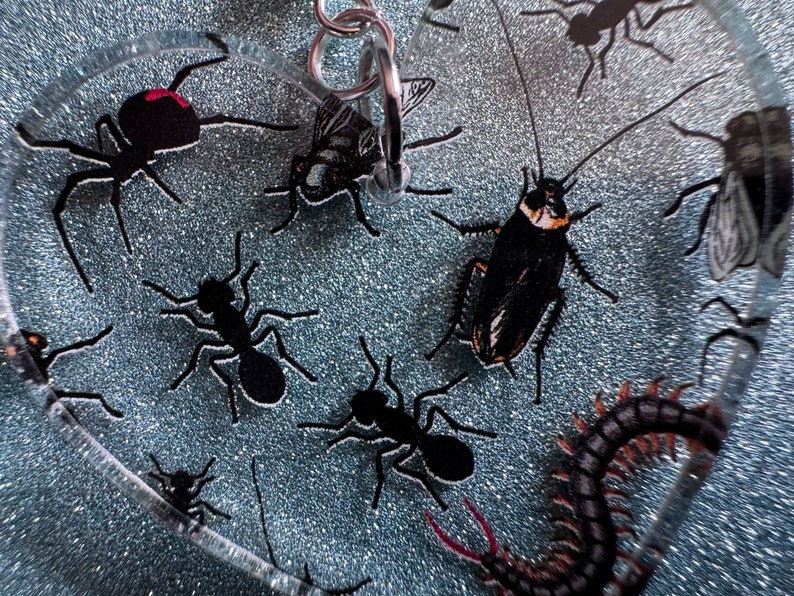 Insect Earrings: Laser Cut Acrylic Insects, Bugs, Ant, Spider ...