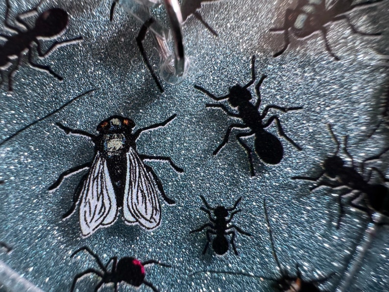 Insect Earrings: Laser Cut Acrylic Insects, Bugs, Ant, Spider ...