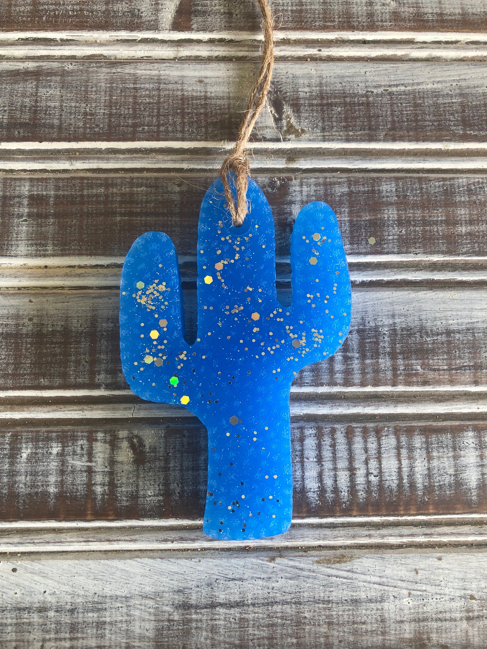 Cactus Freshie, Car Freshies, Freshies - Etsy