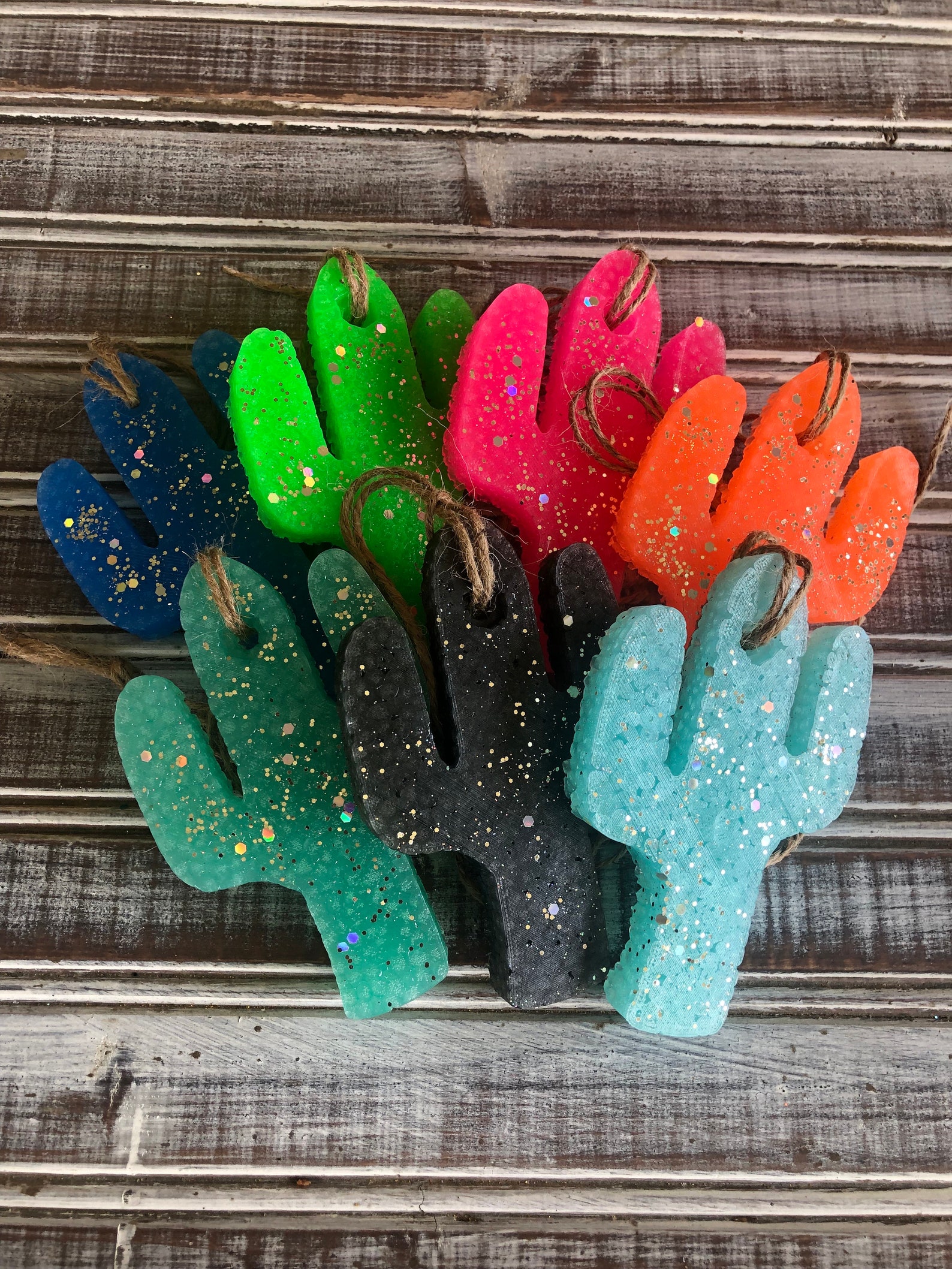 Cactus Freshie, Car Freshies, Freshies - Etsy