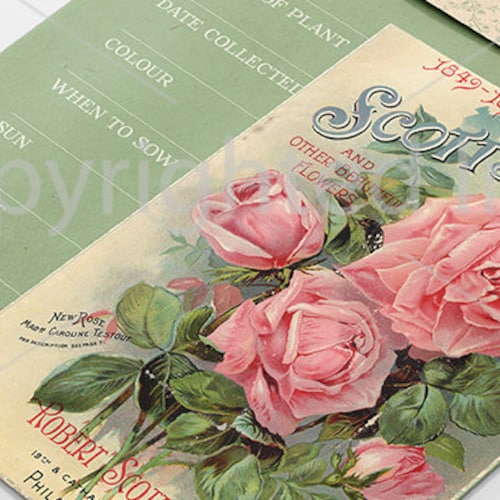 6 Different Antique Garden Roses Seed Packets Nr 2 DIGITAL - Etsy