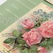 6 Different Antique Garden Roses Seed Packets, DIGITAL Sheet, Vintage ...