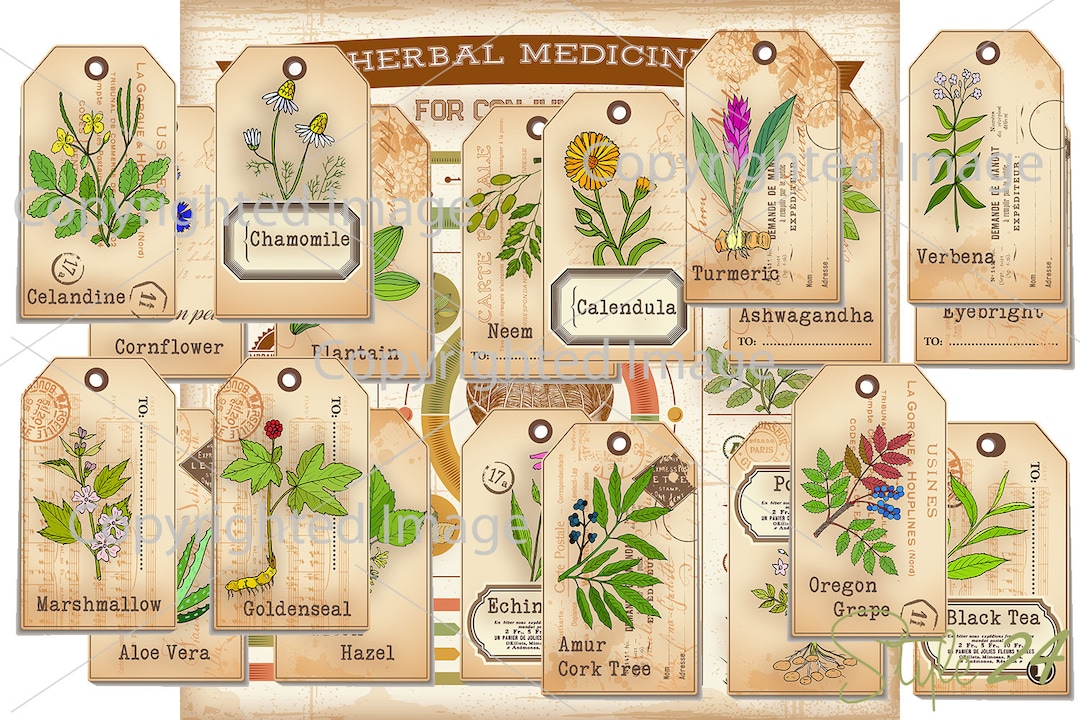 Medicinal Herbal Apothecary Labels With Info-graphic Printable ...