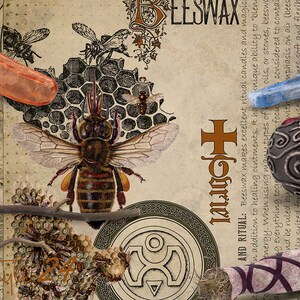 Magick Potions 4 - Bees , Witchcraft, Printable, Book of Shadows ...