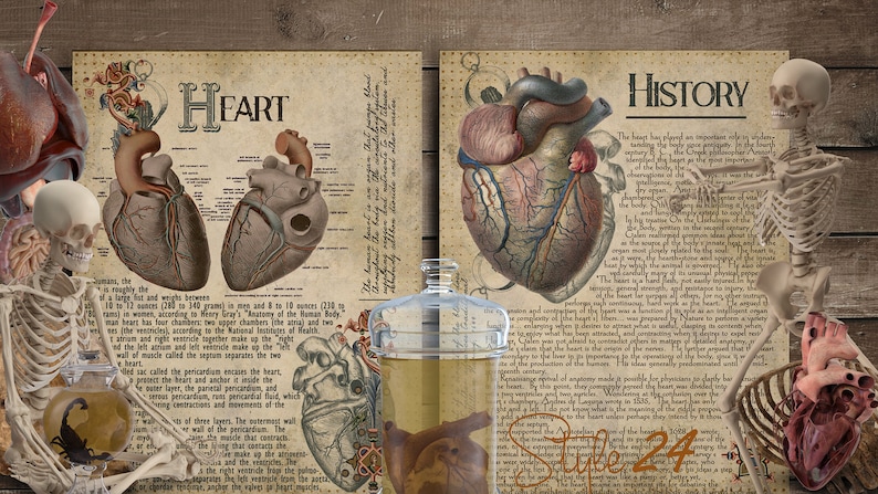 Heart Human Anatomy Printable Book of Shadows BOS Book - Etsy Australia