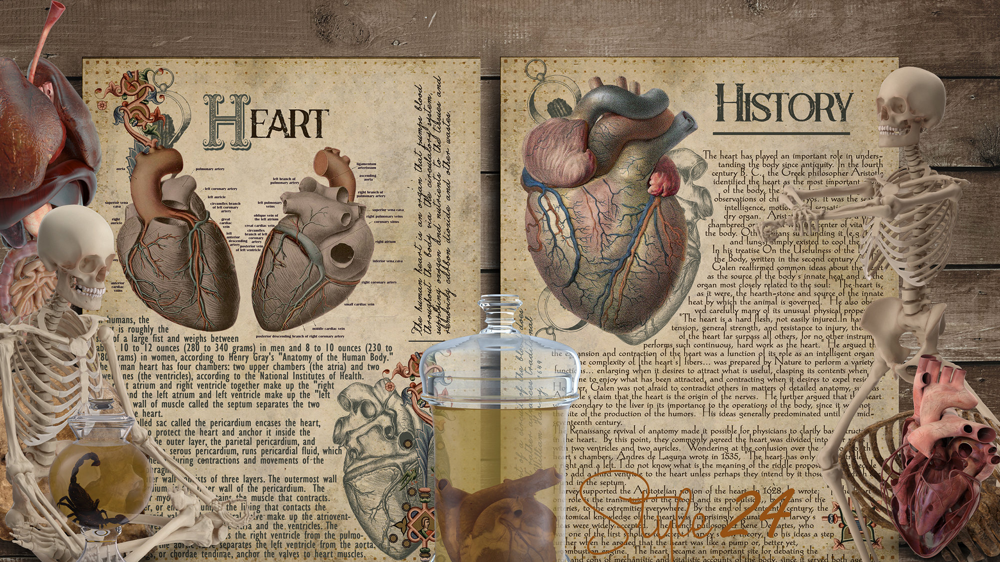 Heart Human Anatomy Printable Book of Shadows BOS Book - Etsy Australia