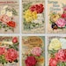 Antique Garden Roses Seed Packet Prints, Victorian Ephemera (digital ...