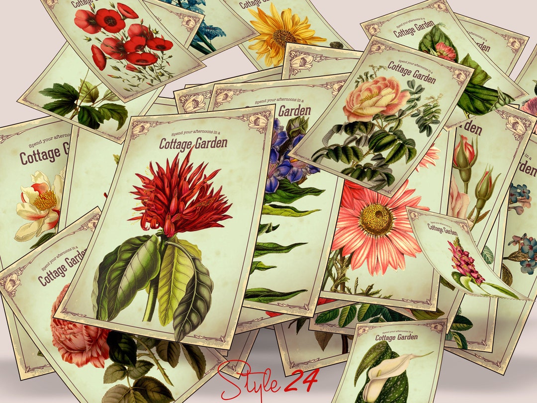 Bundle 3 80 Antique Cottage Garden Botanical Vintage Flower Scrapbook ...