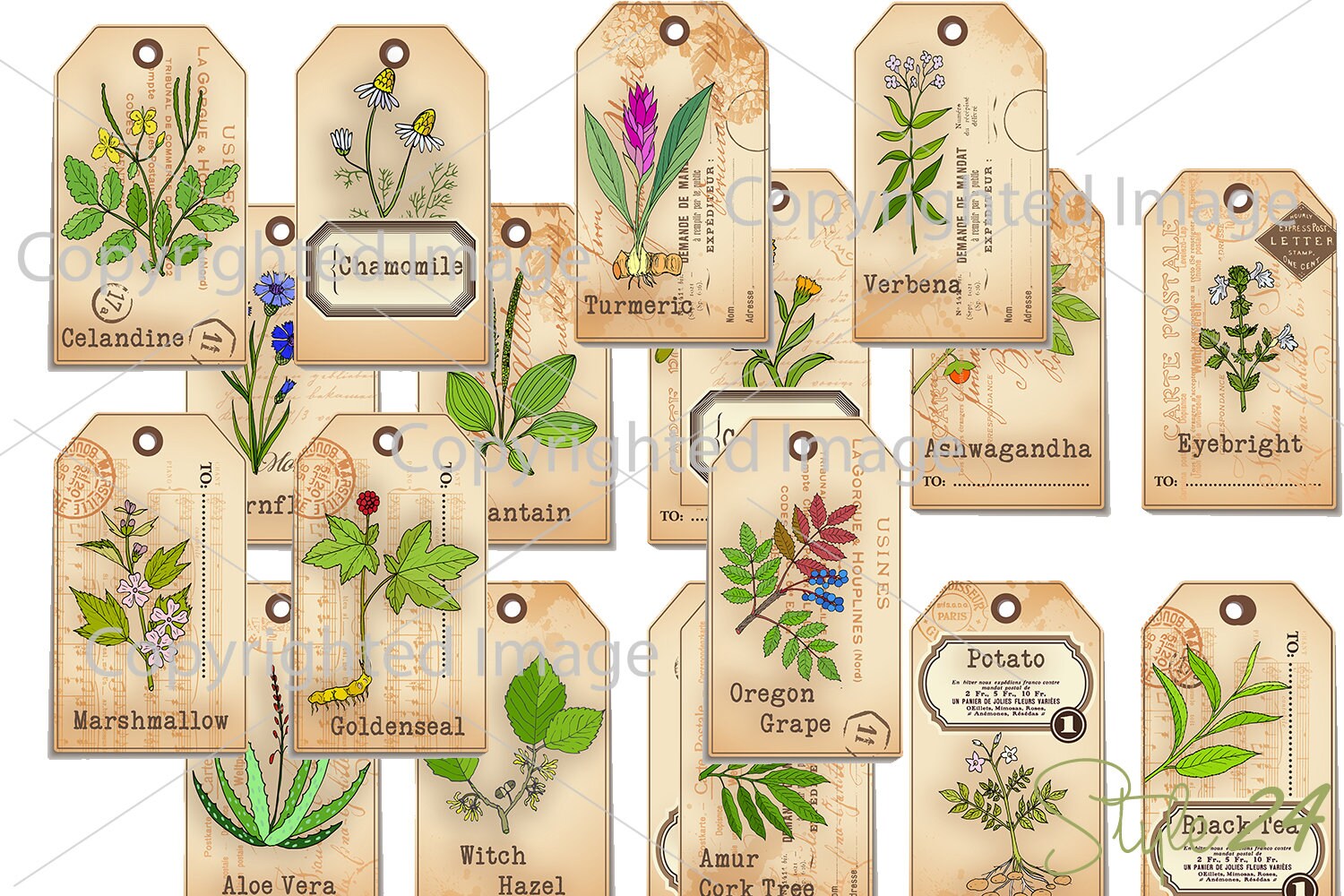 Medicinal Herbal Apothecary Labels With Info-graphic Printable - Etsy