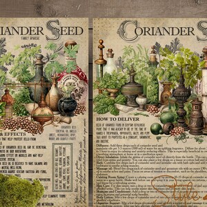 Spicy Essential Oils No.2 Printable: Book of Shadows, Aromatherapy ...