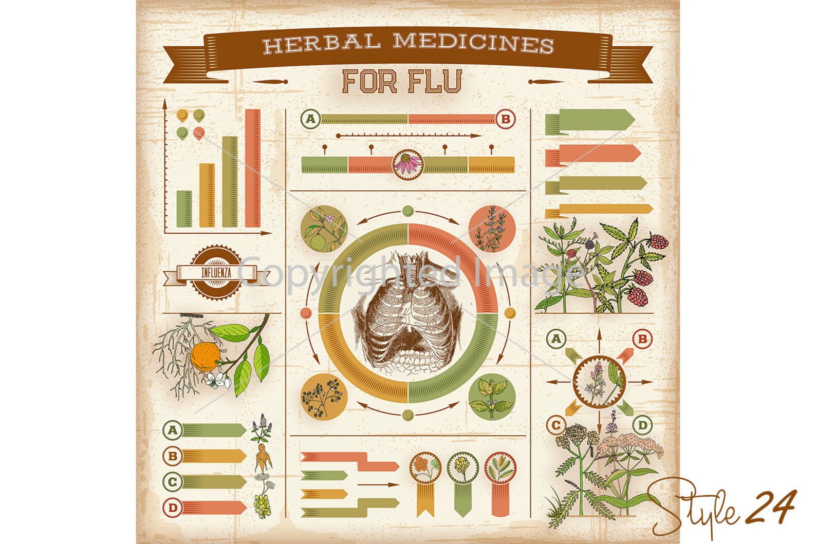 Medicinal Herbal Apothecary Labels with Info-graphic printable | Etsy