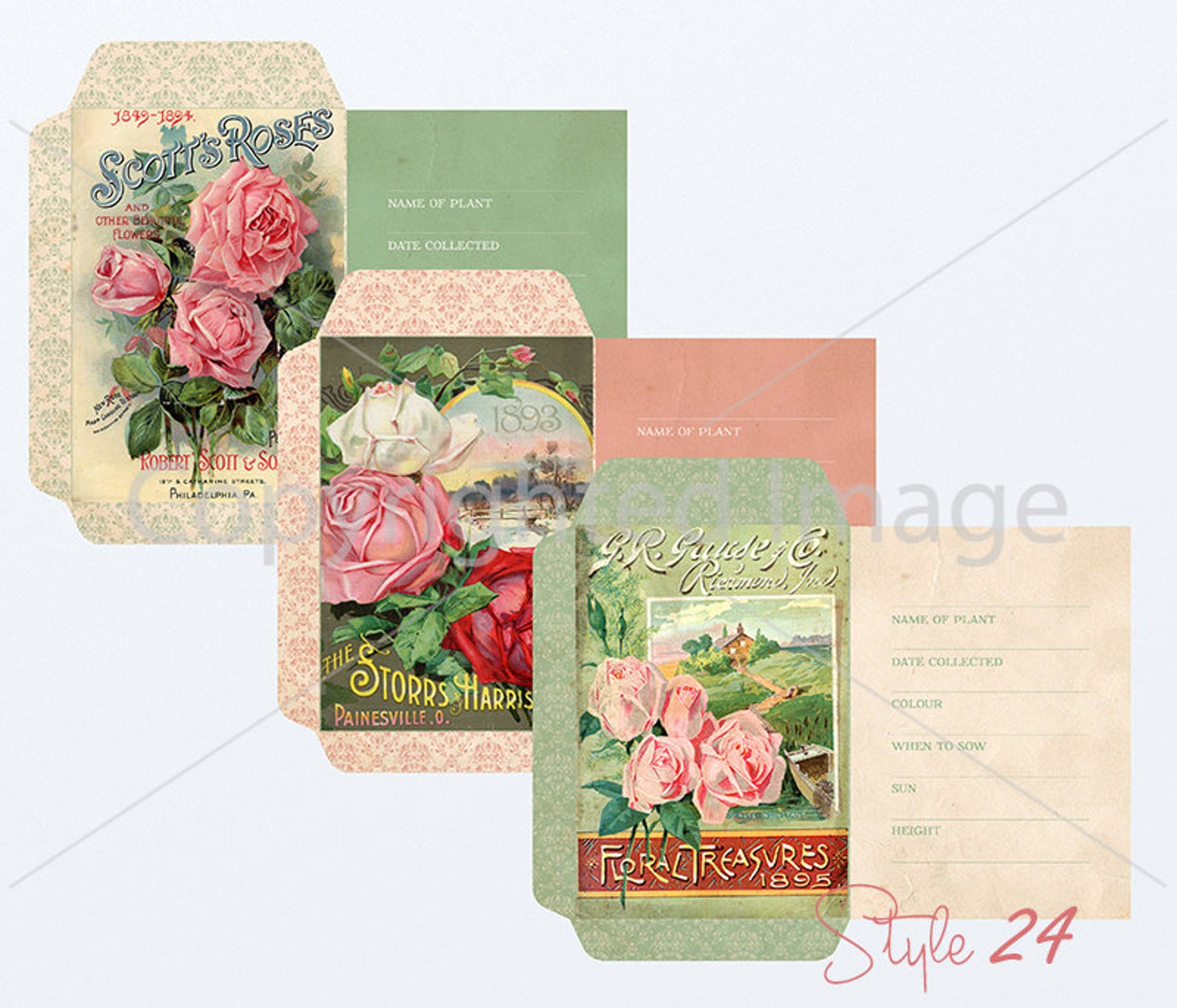 6 Different Antique Garden Roses Seed Packets DIGITAL Sheet | Etsy