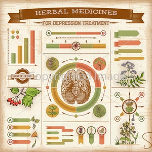 Medicinal Herbal Apothecary Labels With Info-graphic Printable ...