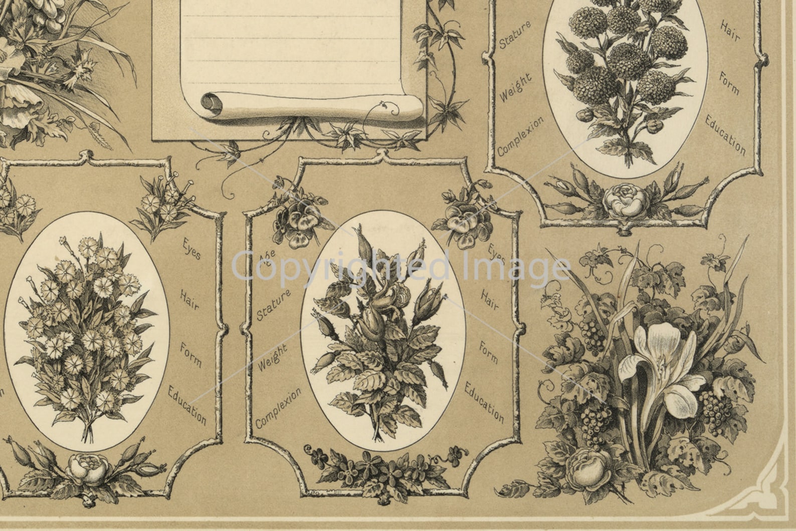 Vintage Family Register Family Tree Geneology Victorian - Etsy