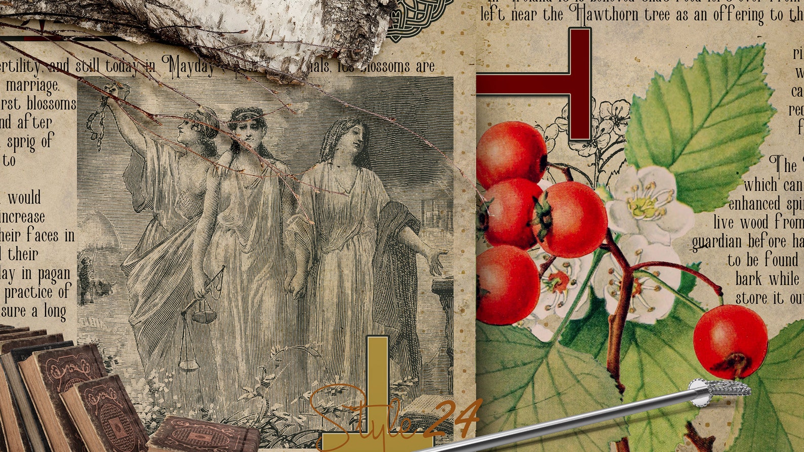 Hawthorn The Druids calendar Gallic horoscope Printable | Etsy