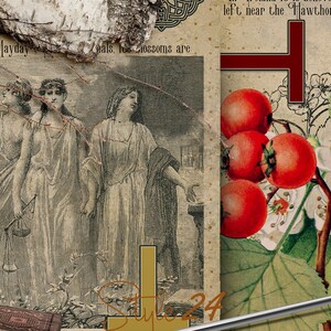 Hawthorn, the Druids Calendar, Gallic, Horoscope, Printable Book of ...