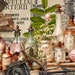 Resinous Essential Oils Guide No.1: Aromatherapy Printable Pages ...