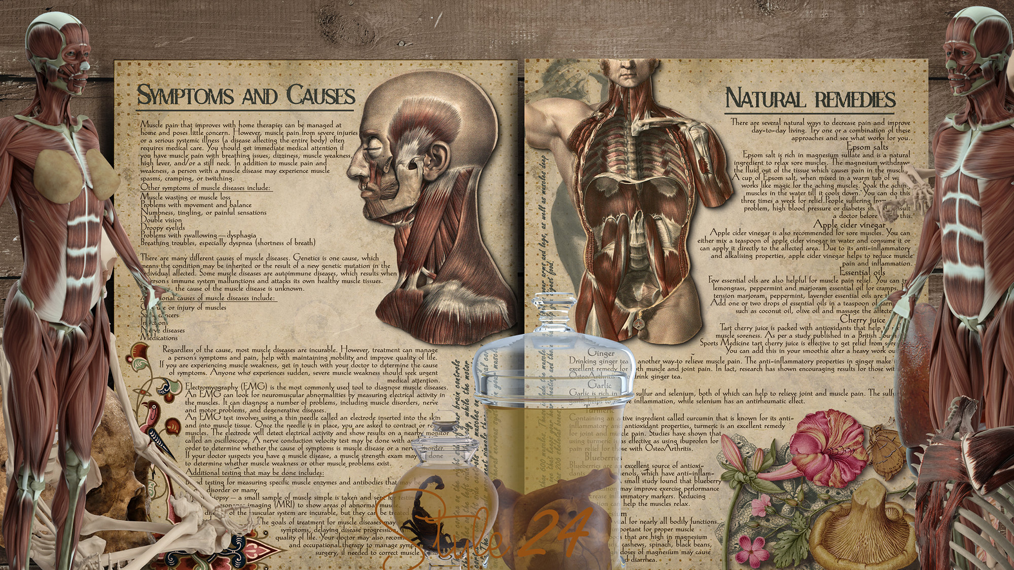 Muscular System Human Anatomy Printable Book of Shadows - Etsy Australia