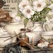 Resinous Essential Oils Guide No.1: Aromatherapy Printable Pages ...