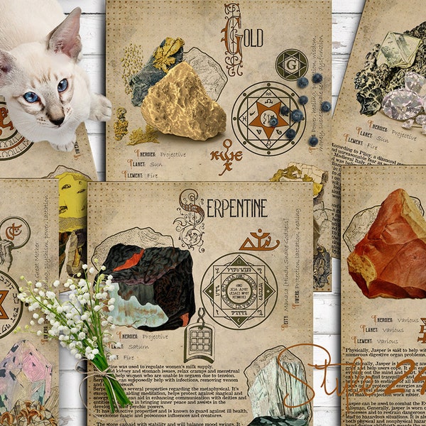 Book of Shadows - Etsy