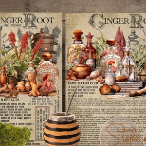Spicy Essential Oils No.2 Printable: Book of Shadows, Aromatherapy ...