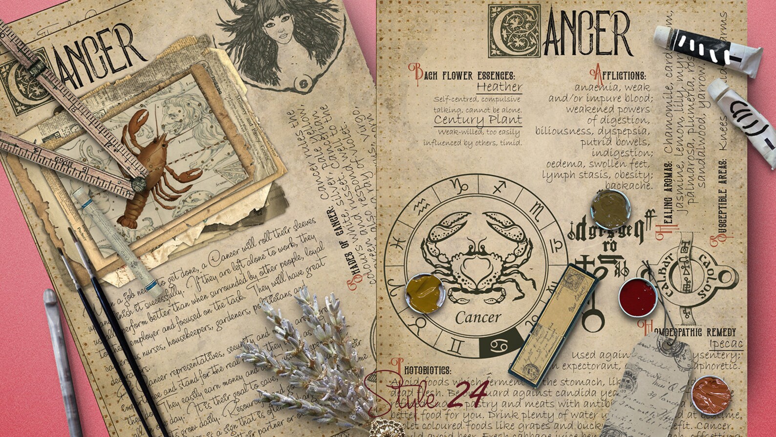 Cancer Astrological Sign Correspondences Book of Shadows | Etsy