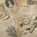 Cancer Astrology Correspondences, Book of Shadows Printable (digital ...