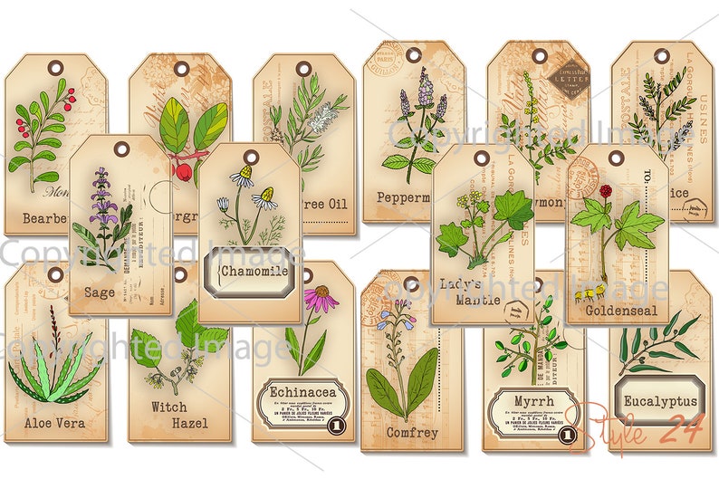 Medicinal Herbal Apothecary Labels with Info-graphic printable | Etsy