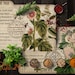 Witch Recipe Cards, Tummy Troubles Series, Printable Grimoire (digital ...
