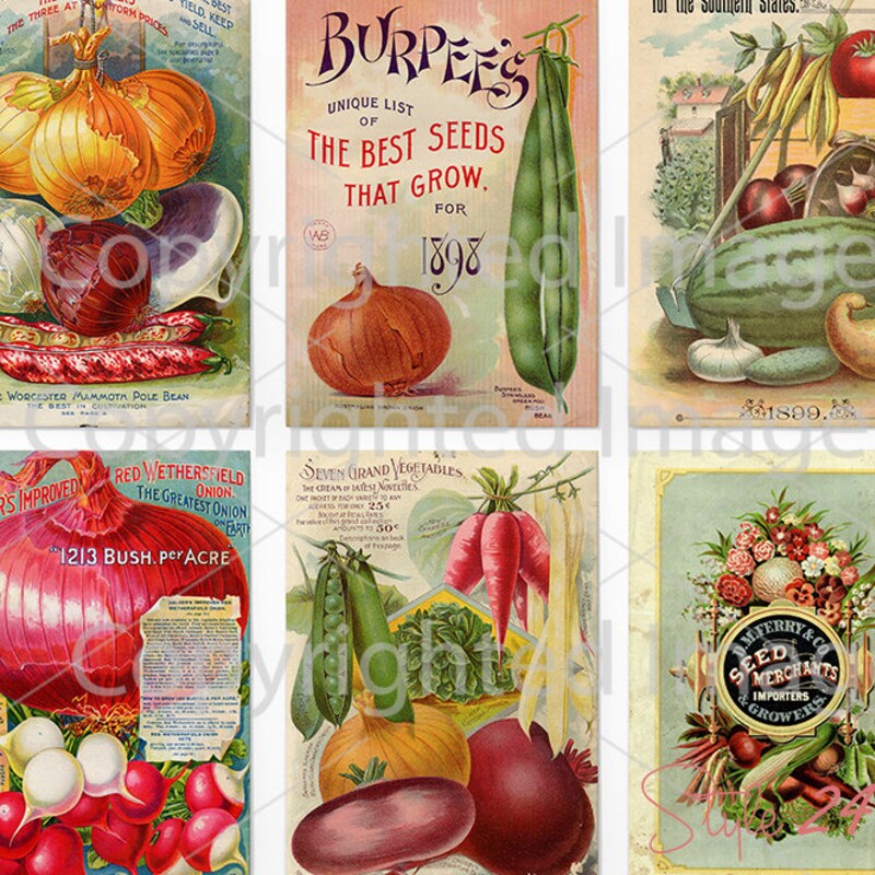 Antique Seed Packets - Etsy