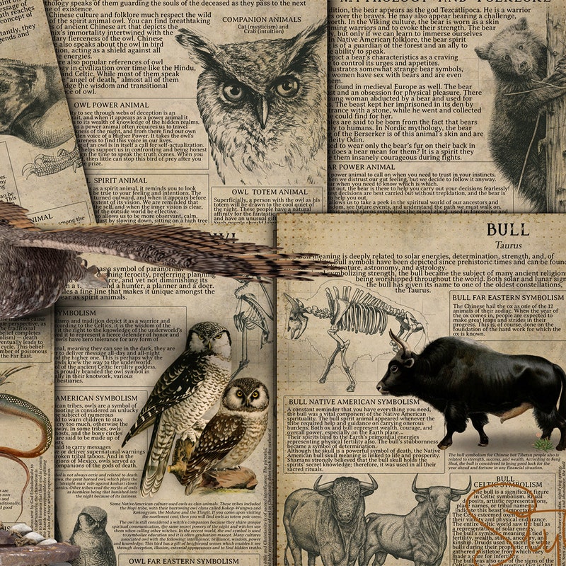 Indigenous Art Shaman Tool - Etsy UK