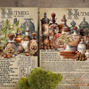 Spicy Essential Oils No.2 Printable: Book of Shadows, Aromatherapy ...