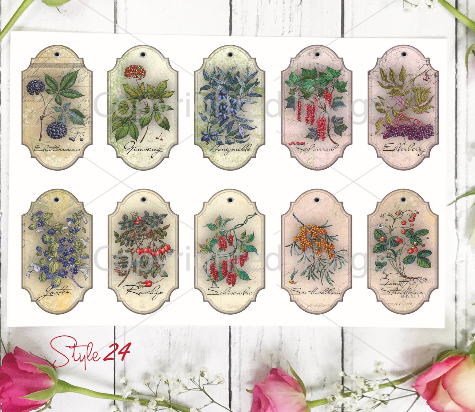Medicinal Berries Herbal Apothecary Labels Printable Labels Jar Labels ...