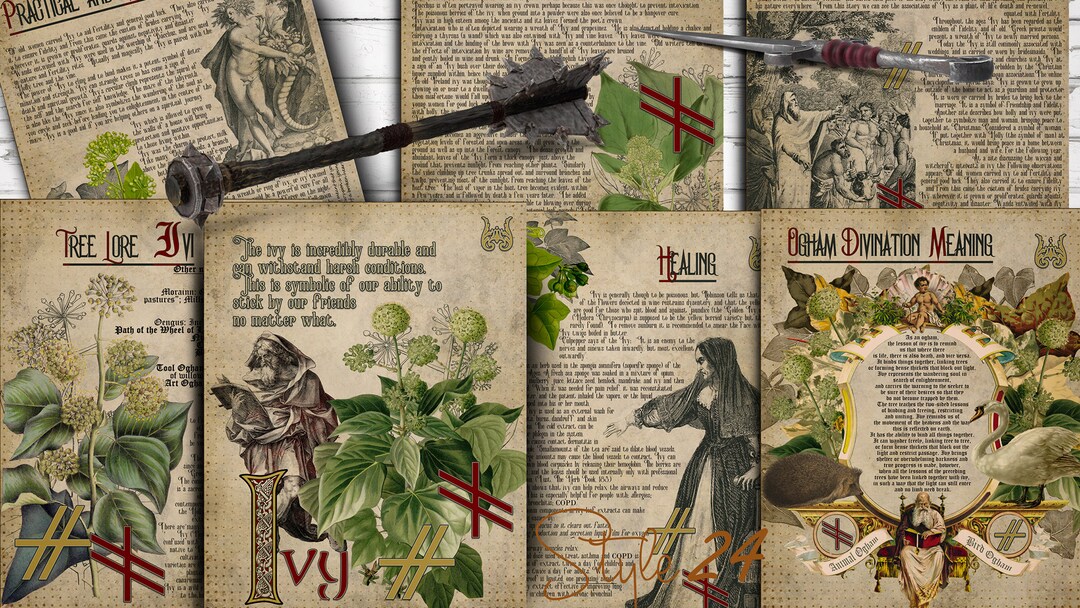 Ivy, the Druids Calendar, Gallic Horoscope, Printable Book of Shadows ...