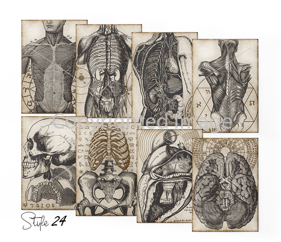 8 Anatomy ATC Vintage Printable Esoteric Craft Art Paper Human Body ...