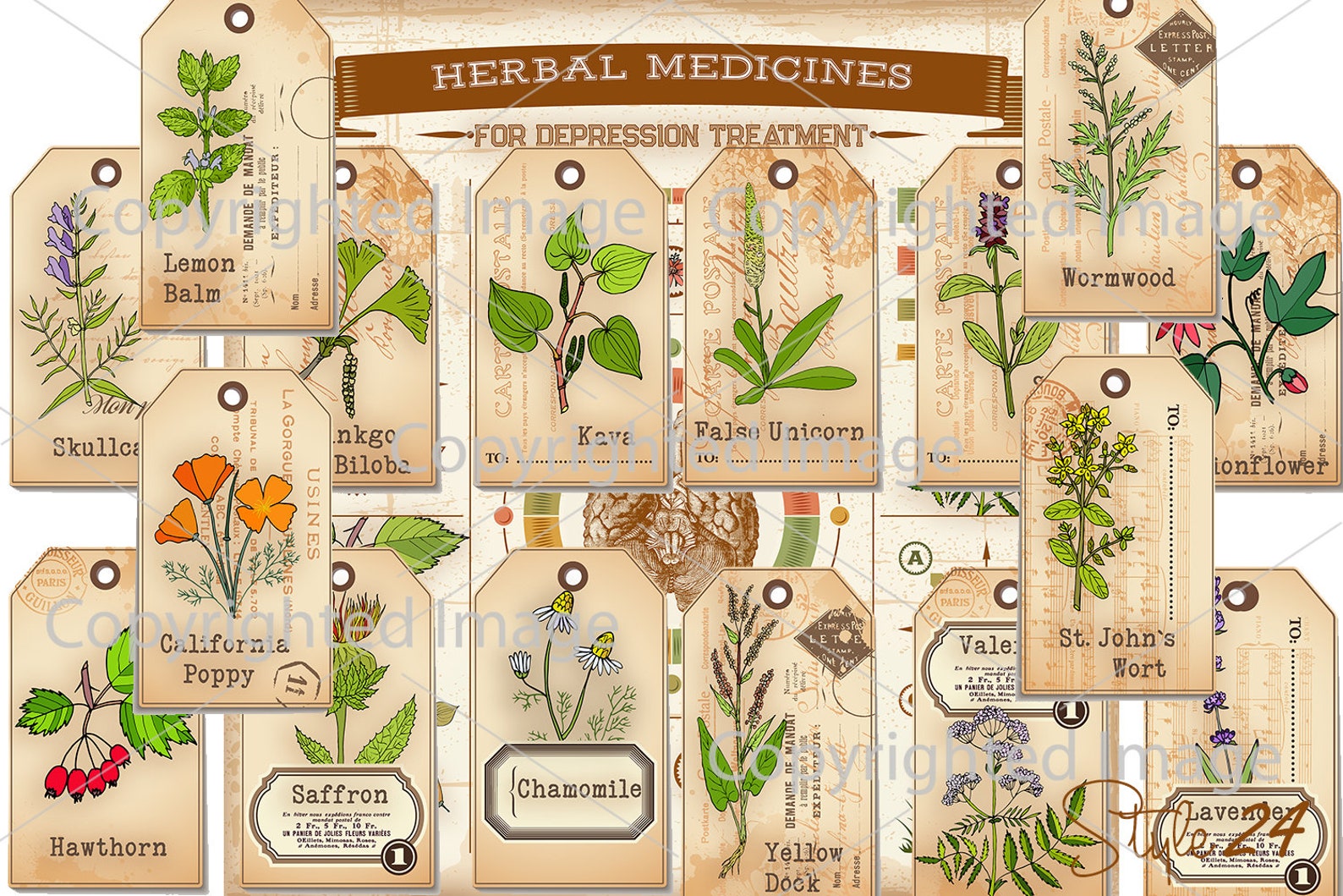 Herbal Apothecary Labels for Depression Treatment (digital Download ...