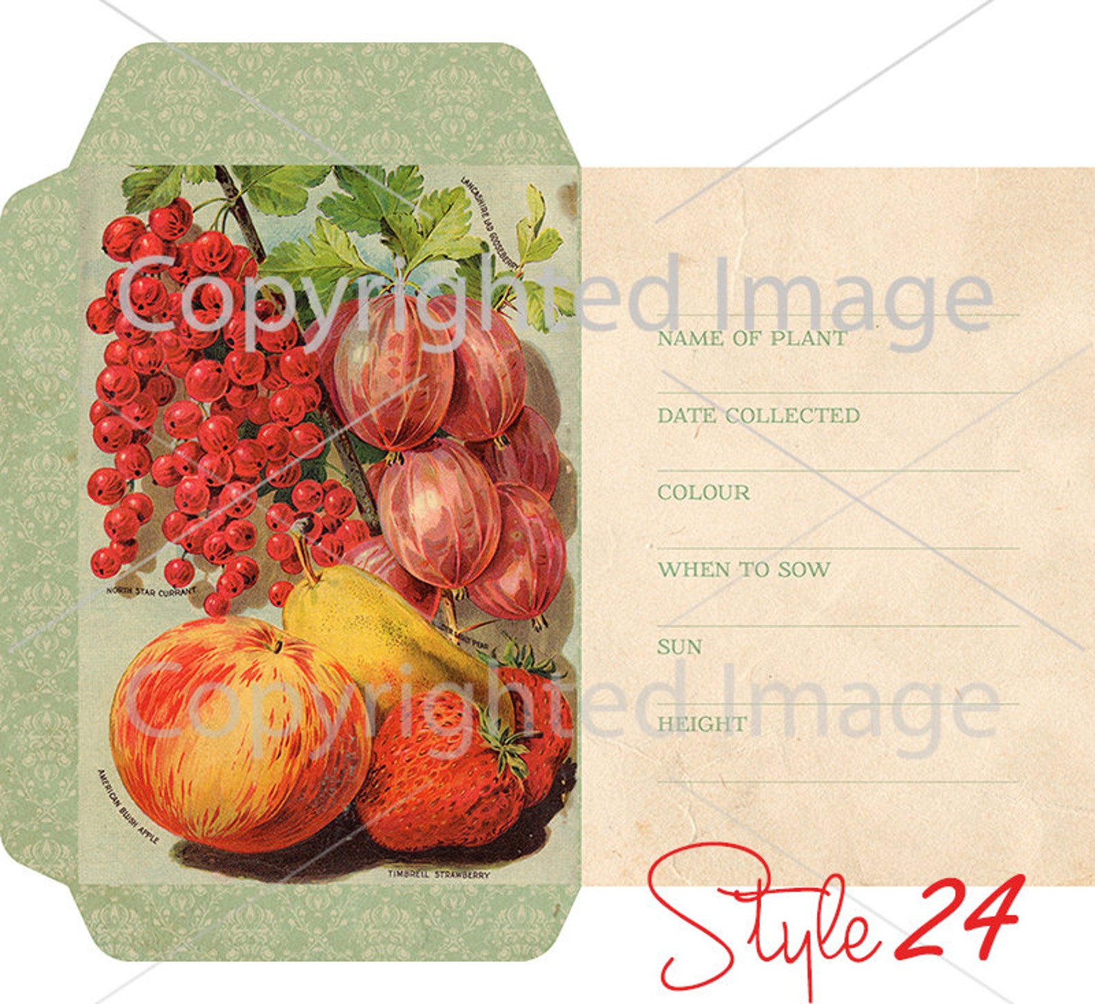 6 Different Antique Garden Fruits Berries Seed Packets #1, DIGITAL ...
