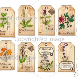 Medicinal Herbal Apothecary Labels With Info-graphic Printable ...