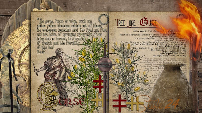 Gorse Furze The Druids calendar Gallic horoscope | Etsy