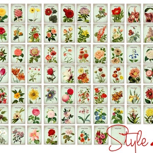 Bundle - 80 Antique Cottage Garden Botanical Vintage Flower Scrapbook ...