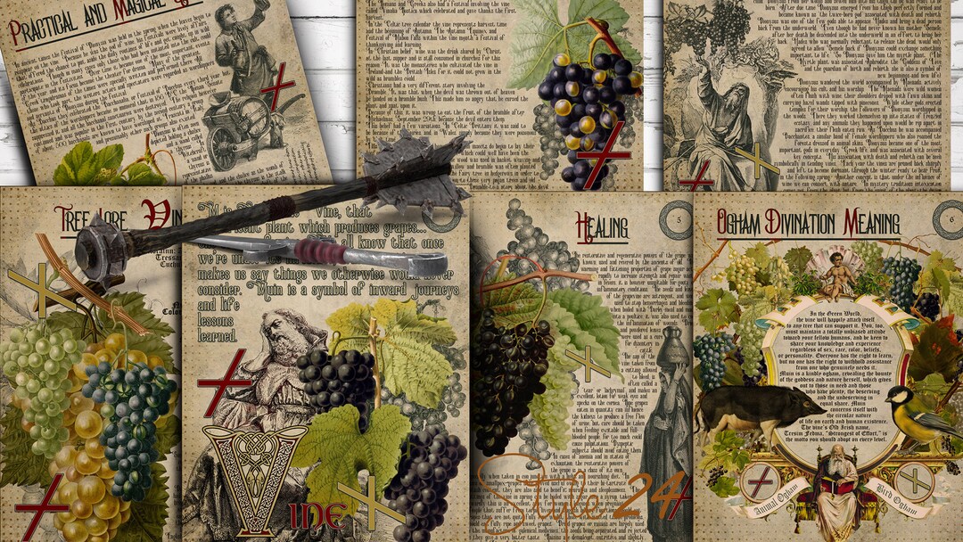 Vine, the Druids Calendar, Gallic, Horoscope, Printable, Book of ...