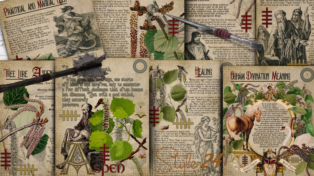 Aspen, the Druids Calendar, Gallic Horoscope, Printable Book of Shadows ...